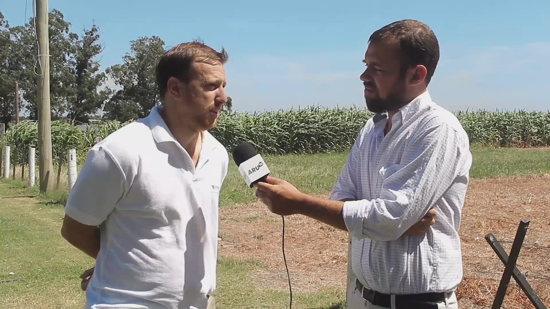 Lanzamiento Expo Melilla 2017 – Ing. Agr. Ignacio Vago GENTOS Uruguay ...